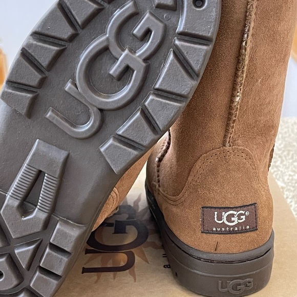 UGG | Shoes | Brand New Ugg Ultra Short Chestnut | Poshmark